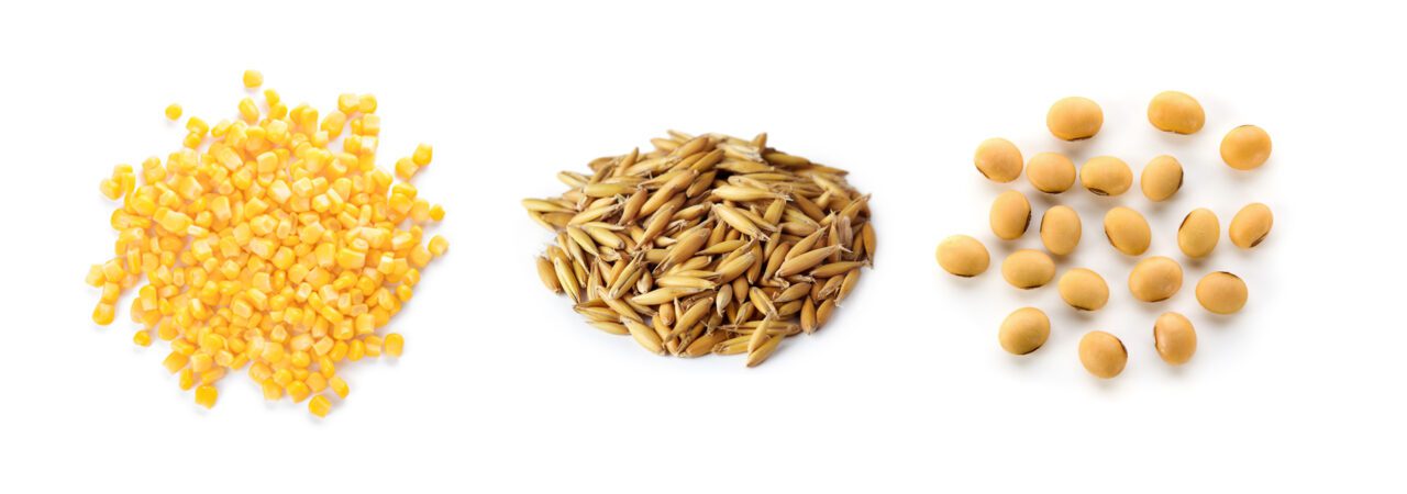 Grain Trading | Red River Grain Co. | MB