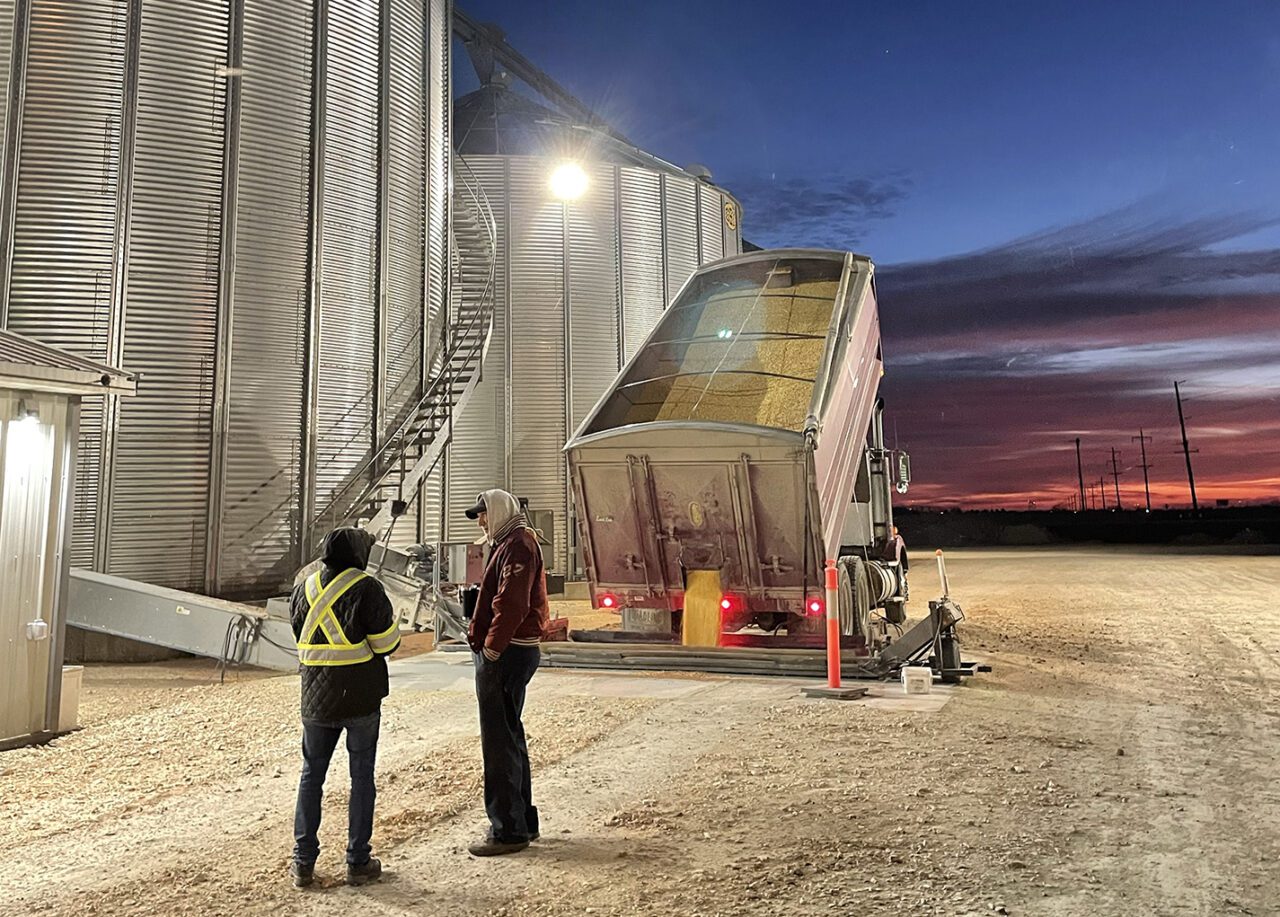 Grain Trading | Red River Grain Co. | MB